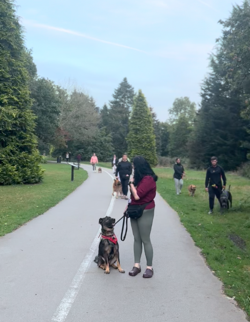 Safe Space Community | Mental health support on your dog training journey